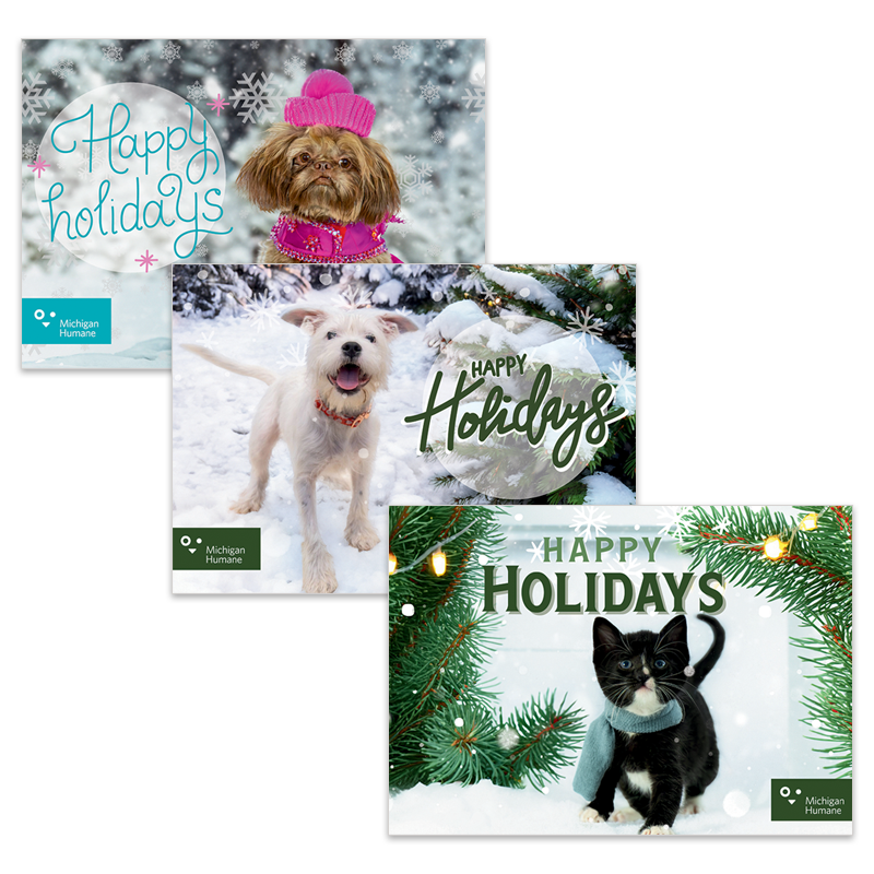 Holiday Card Pack